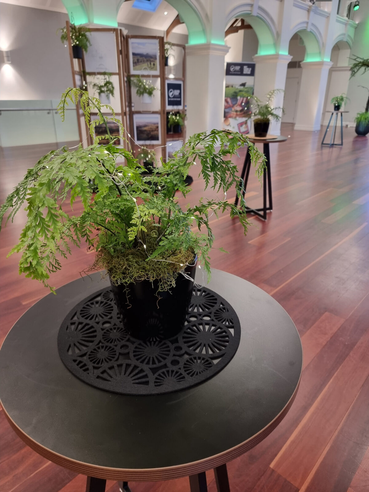 Silver Fern Farms Carbon Zero Product Launch 2022